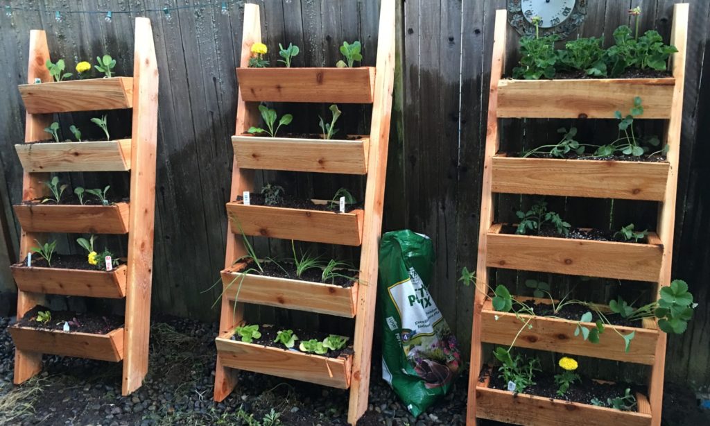 Ladder Planters – Handcrafted Cedar Planters in the Pacific Northwest
